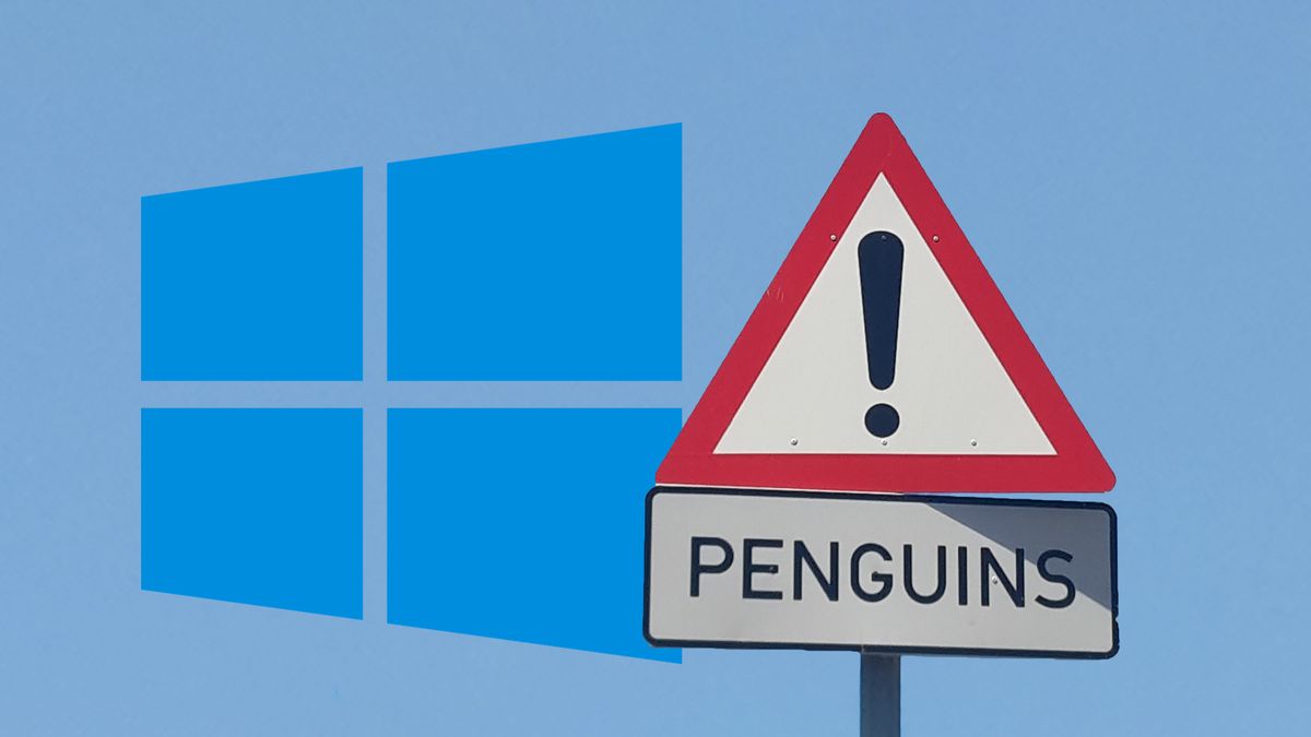 Which is Better for a First-Time User: Windows or Linux? - The Computer ...
